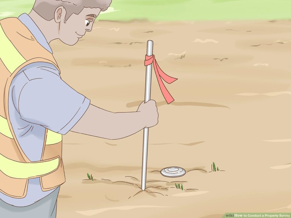 strong motives for land relocation survey - GEOROLE